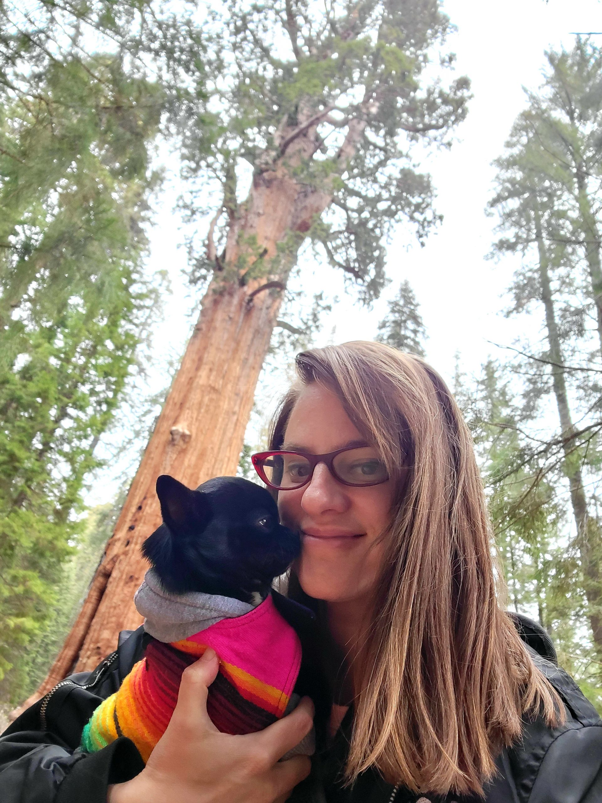 Sequoia National Park | Emily O'Dell